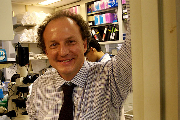 BIDMC’s Pandolfi to receive cancer research award — Harvard Gazette