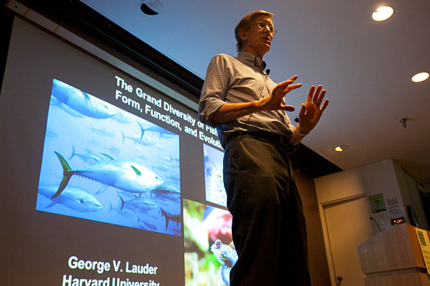 Fish in depth — Harvard Gazette