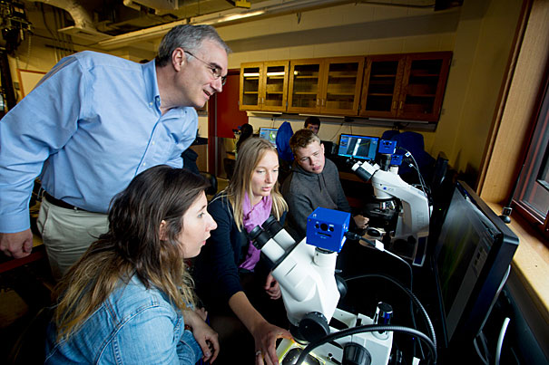 Fresh approaches in teaching — Harvard Gazette