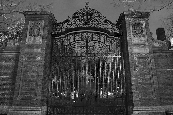 In the light of the night — Harvard Gazette