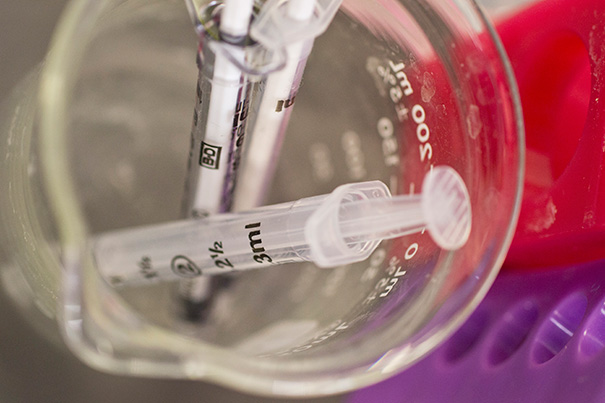 Discovering where HIV persists in spite of treatment — Harvard Gazette