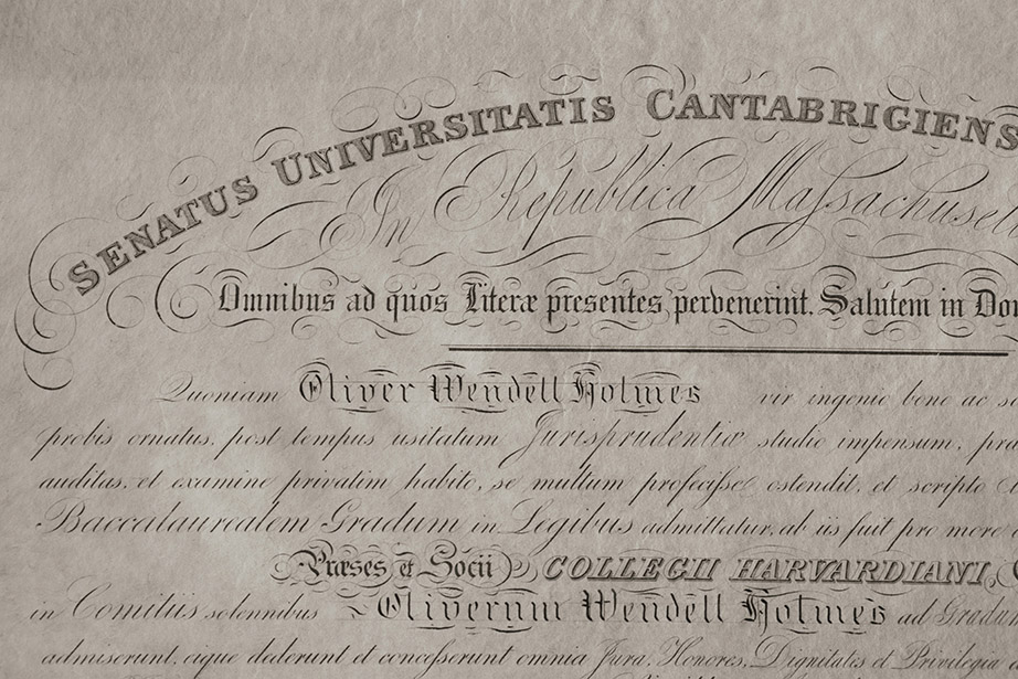 History by degrees — Harvard Gazette