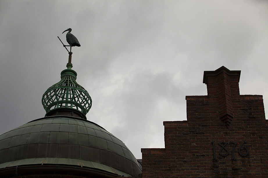 Vertical Harvard — Harvard Gazette