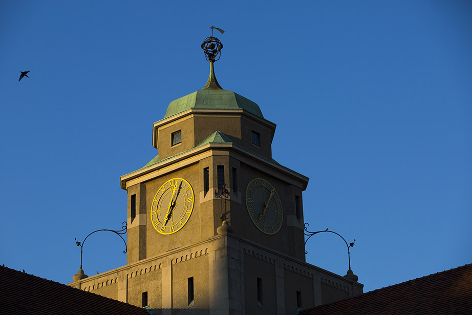 Vertical Harvard — Harvard Gazette