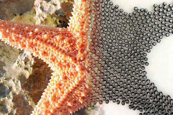 The 1,000-robot swarm — Harvard Gazette