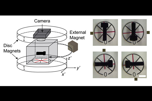 Magnetic attraction — Harvard Gazette
