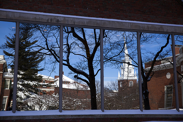 Covering the snow — Harvard Gazette