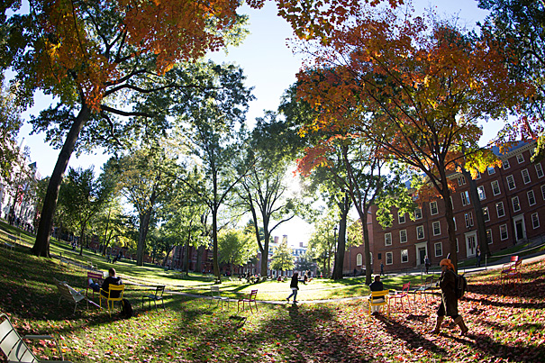 A greener day — Harvard Gazette