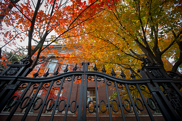 A record high for applications — Harvard Gazette