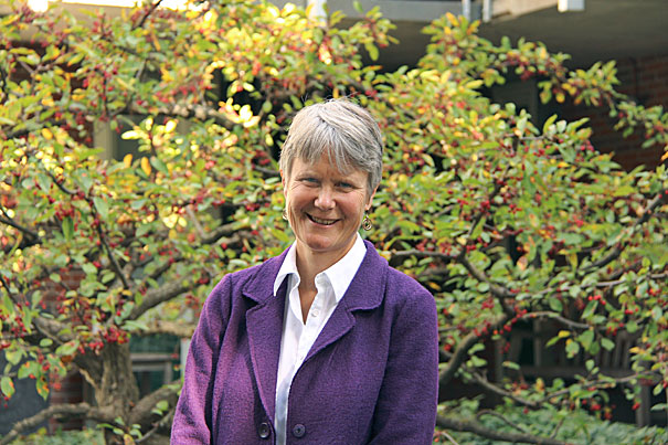 A religion course for the Internet age — Harvard Gazette