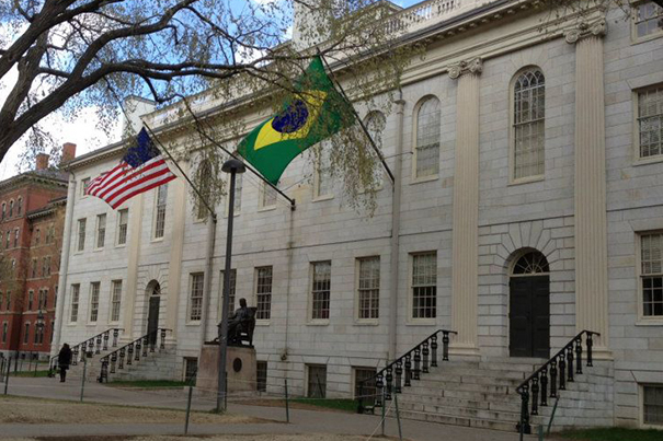 Reinforcement for Harvard-Brazil bridge — Harvard Gazette