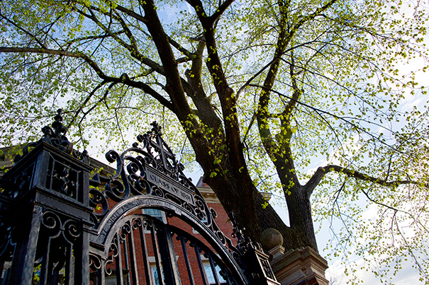 Yield remains high for Class of 2020 — Harvard Gazette