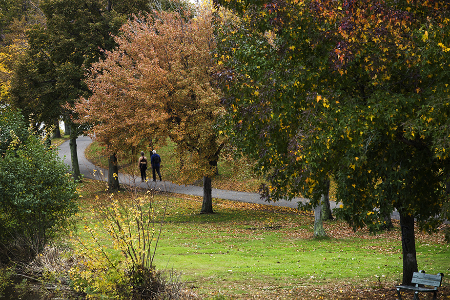 Autumn arrives in Harvard Yard — Harvard Gazette