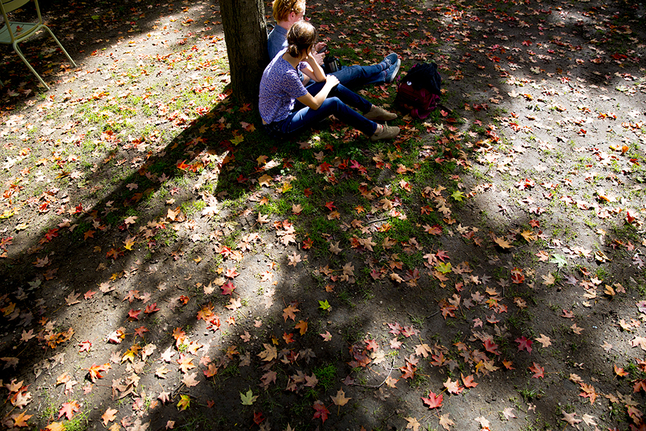 Autumn arrives in Harvard Yard — Harvard Gazette