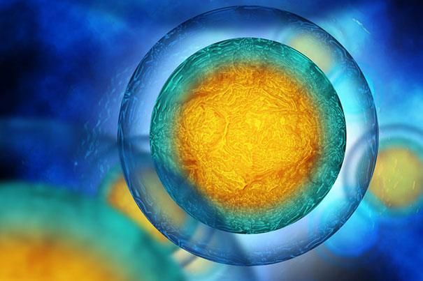 Anti-aging research: ‘Prime time for an impact on the globe’ — Harvard ...