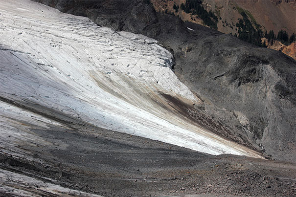 Harvard scholars react to exit from Paris climate accord — Harvard Gazette