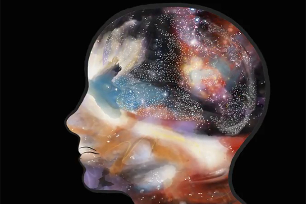 Harvard psychology chair launches ‘Outsmarting Human Minds’ — Harvard ...