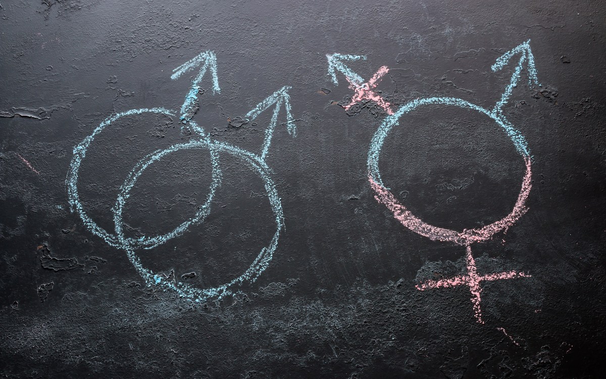 U.N. report takes global look at LGBT violence and bias — Harvard Gazette