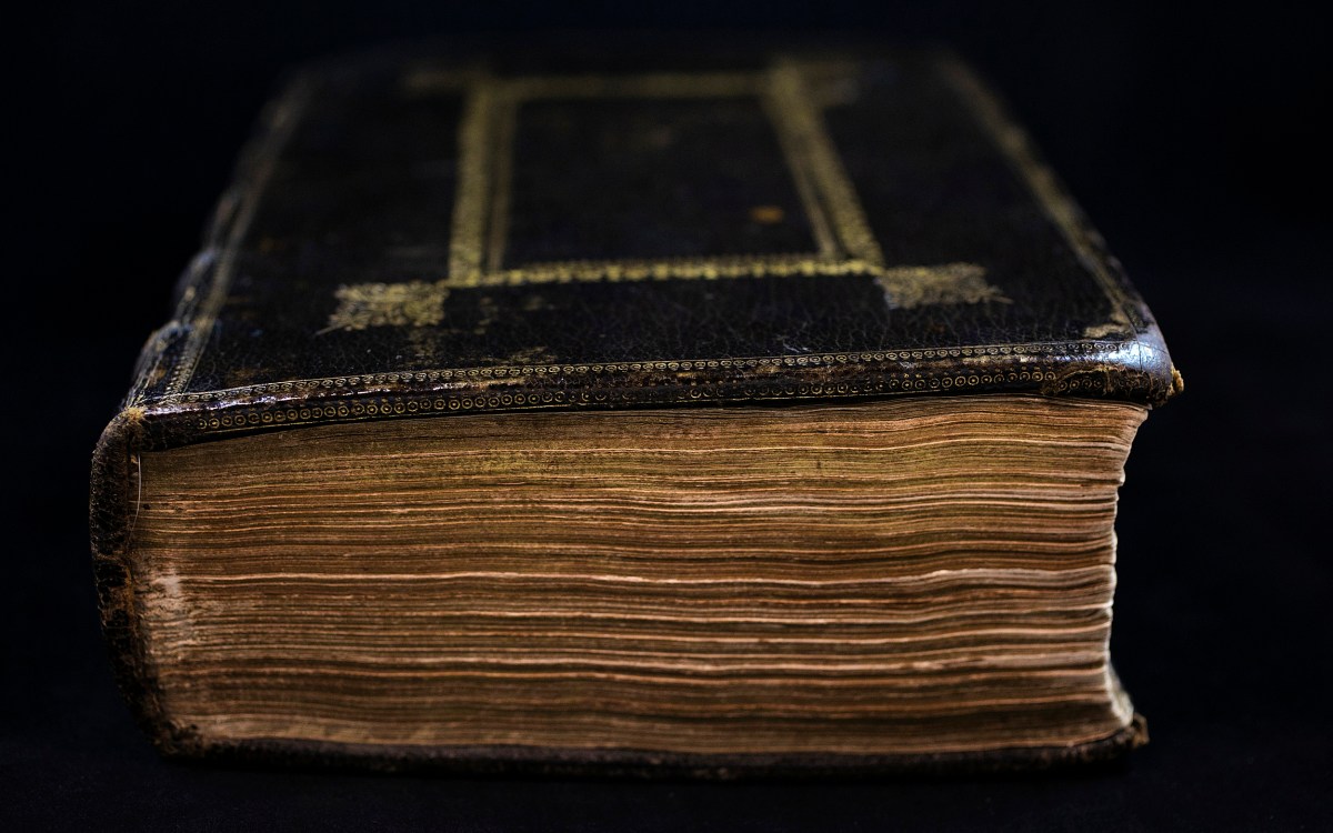 The many dimensions of Harvard Library Collections — Harvard Gazette