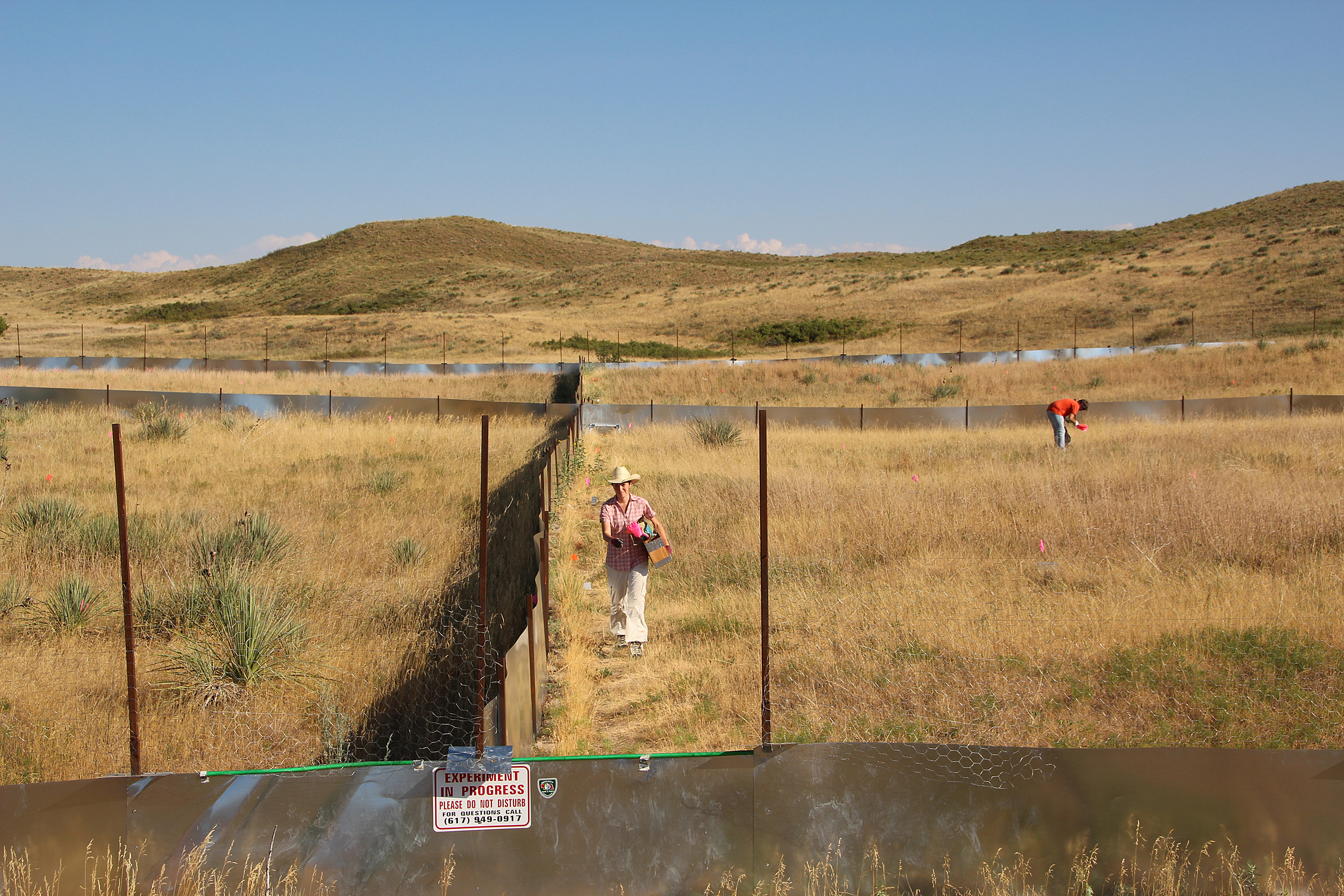 Harvard study captures clear picture of how evolution works in ...