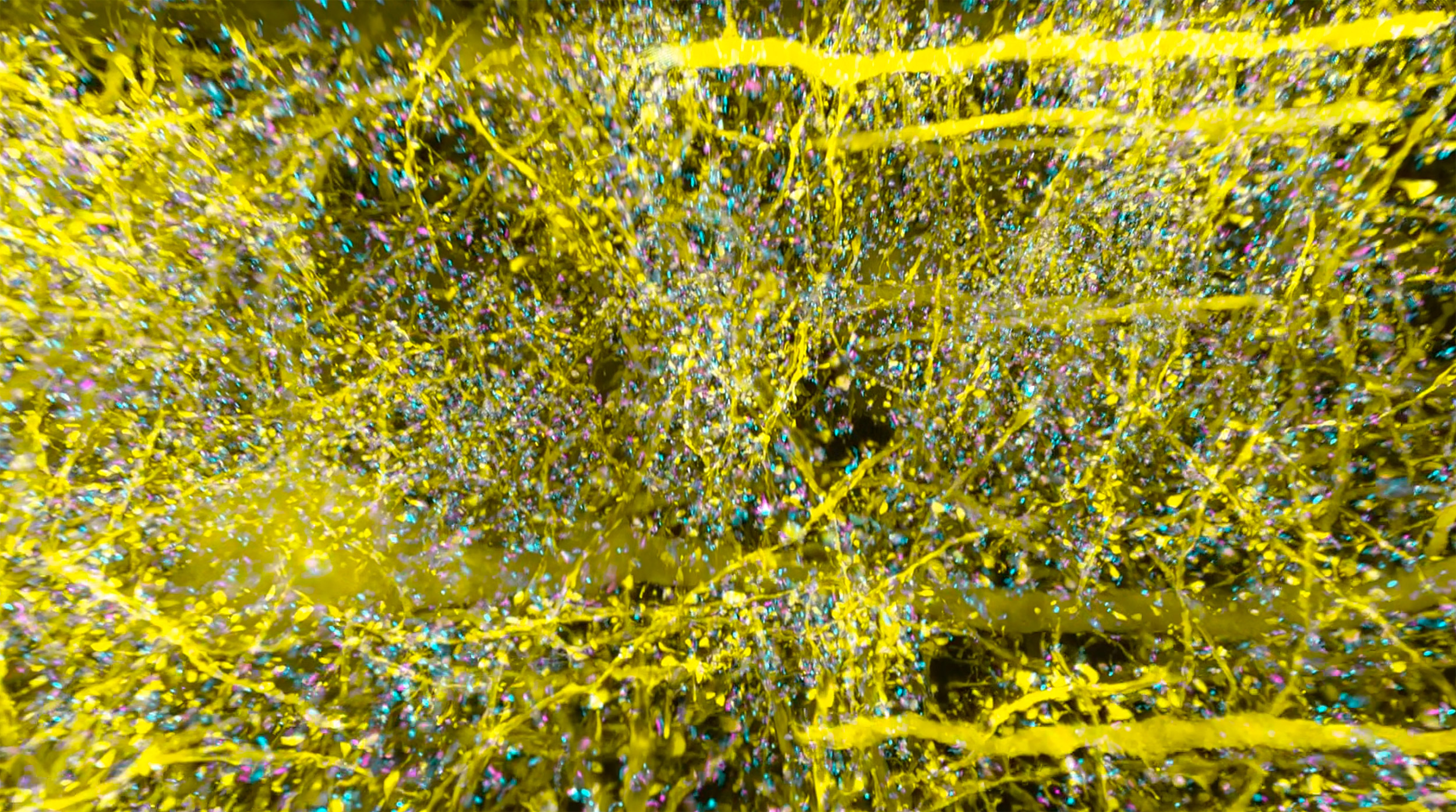 New technique enables subcellular imaging of brain tissue 1,000X faster ...