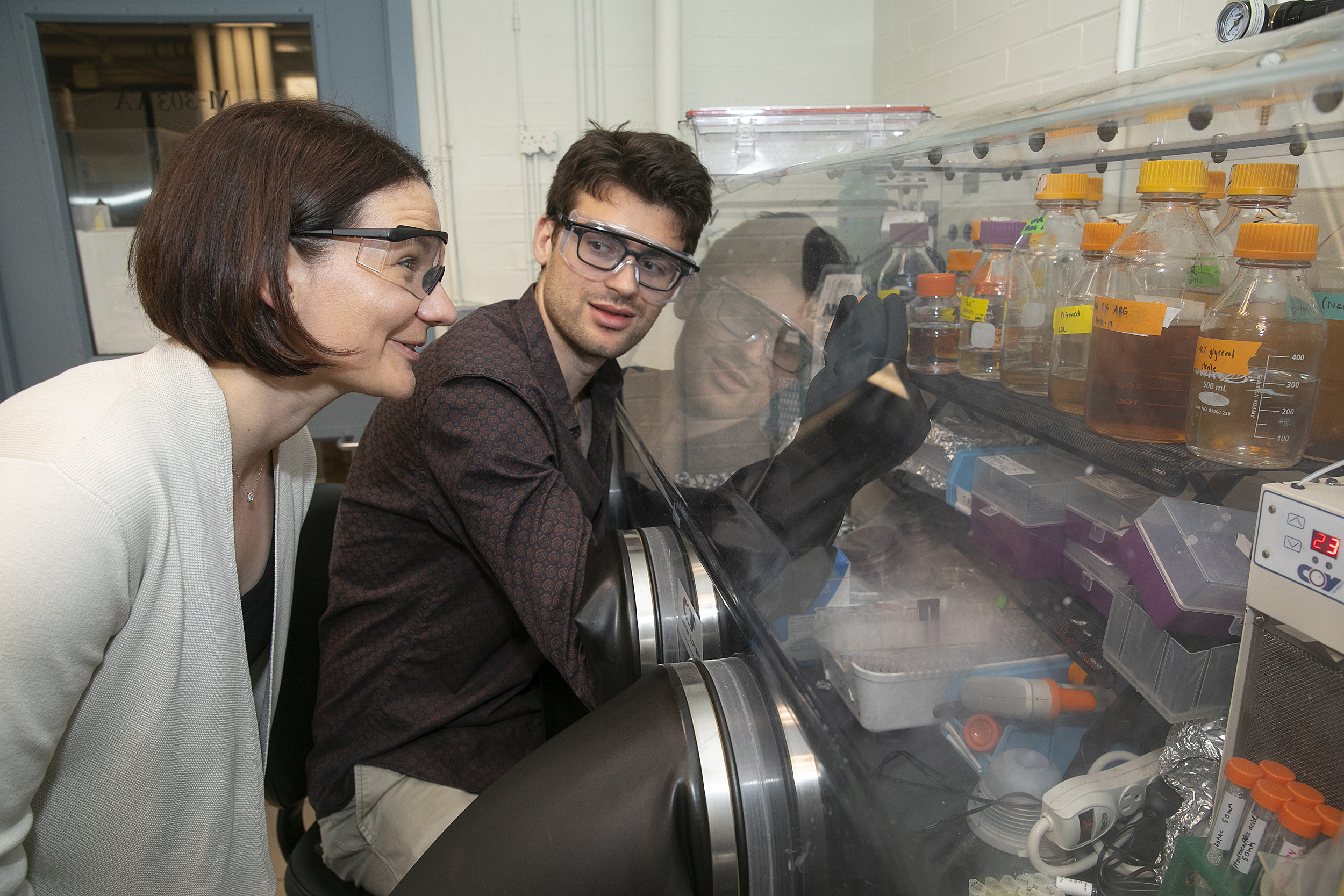 The connection between microbes and cholesterol levels — Harvard Gazette