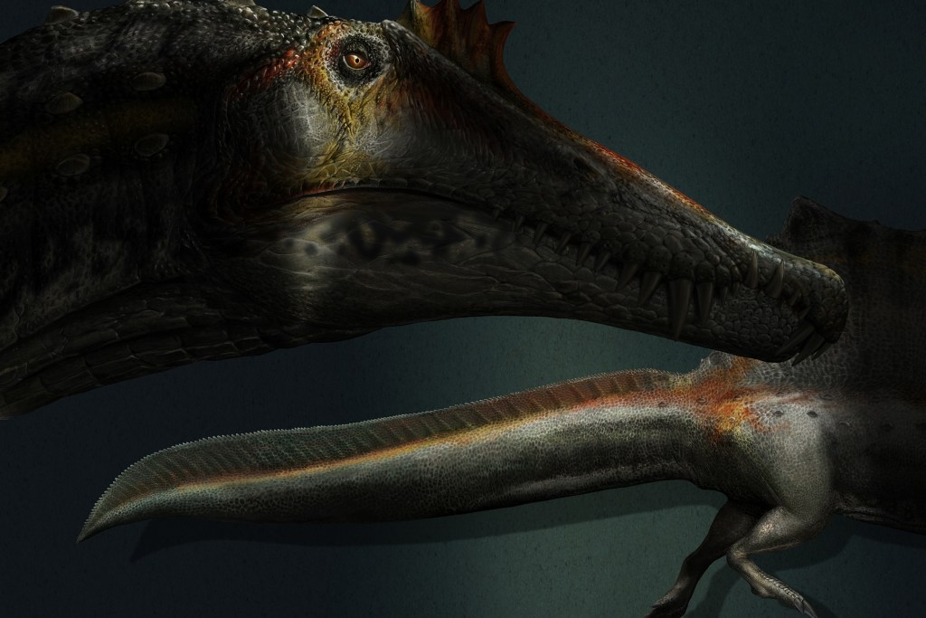 New paper suggests Spinosaurus may have been aquatic — Harvard Gazette