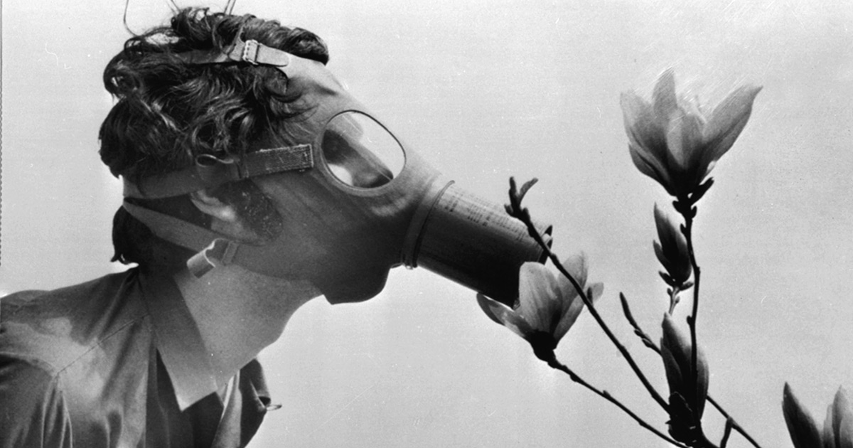 How Earth Day moved environmentalism front and center — Harvard Gazette