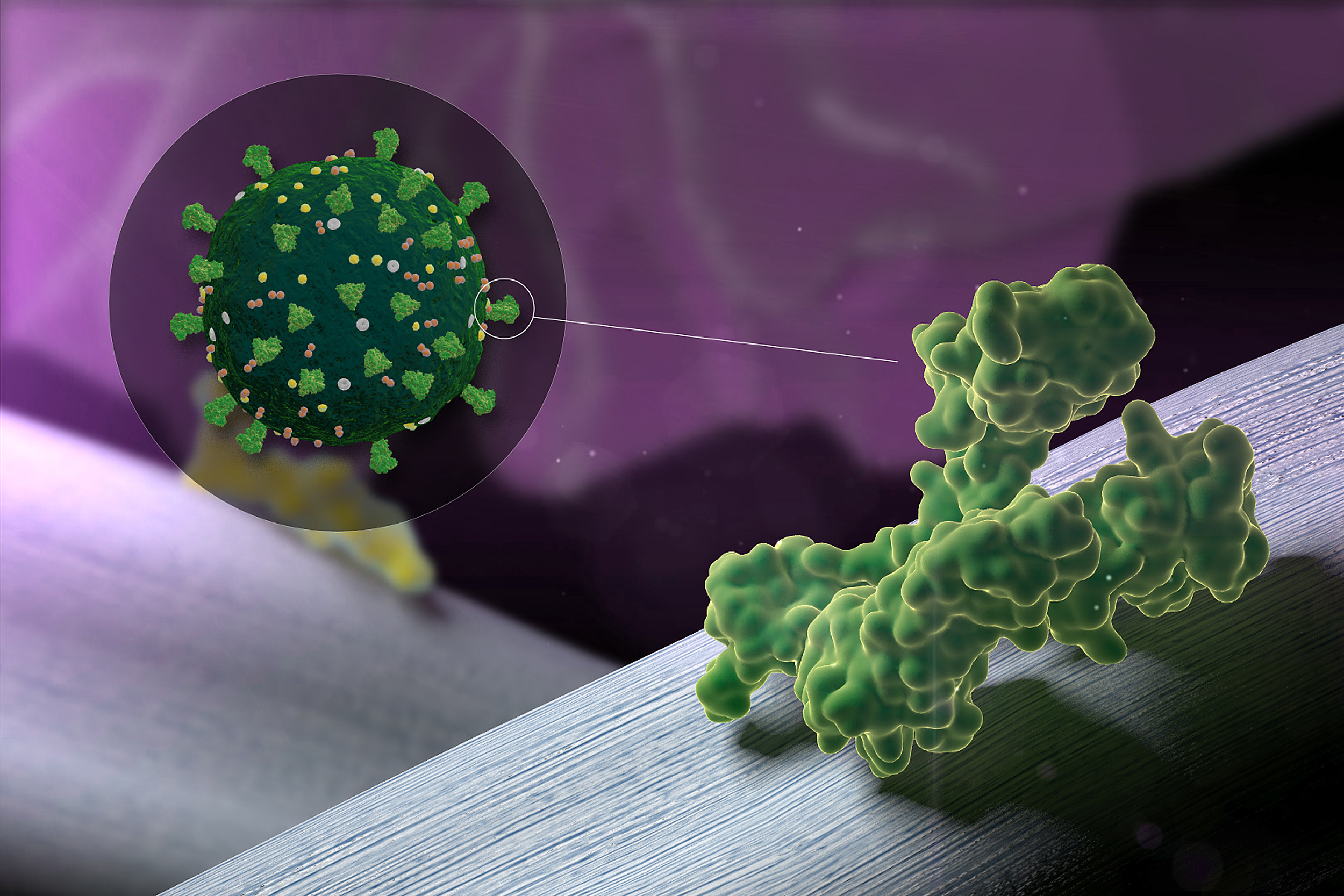 Math model suggests optimal coronavirus treatment strategies — Harvard ...