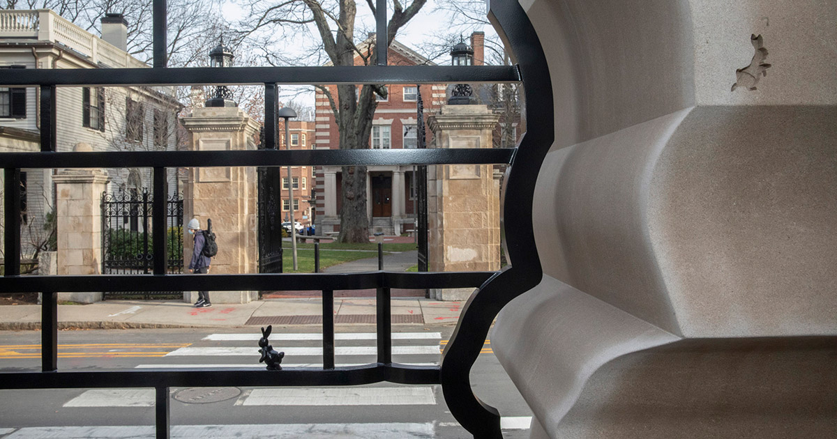 New Peter J. Solomon Gate reveals hidden treasures — Harvard Gazette