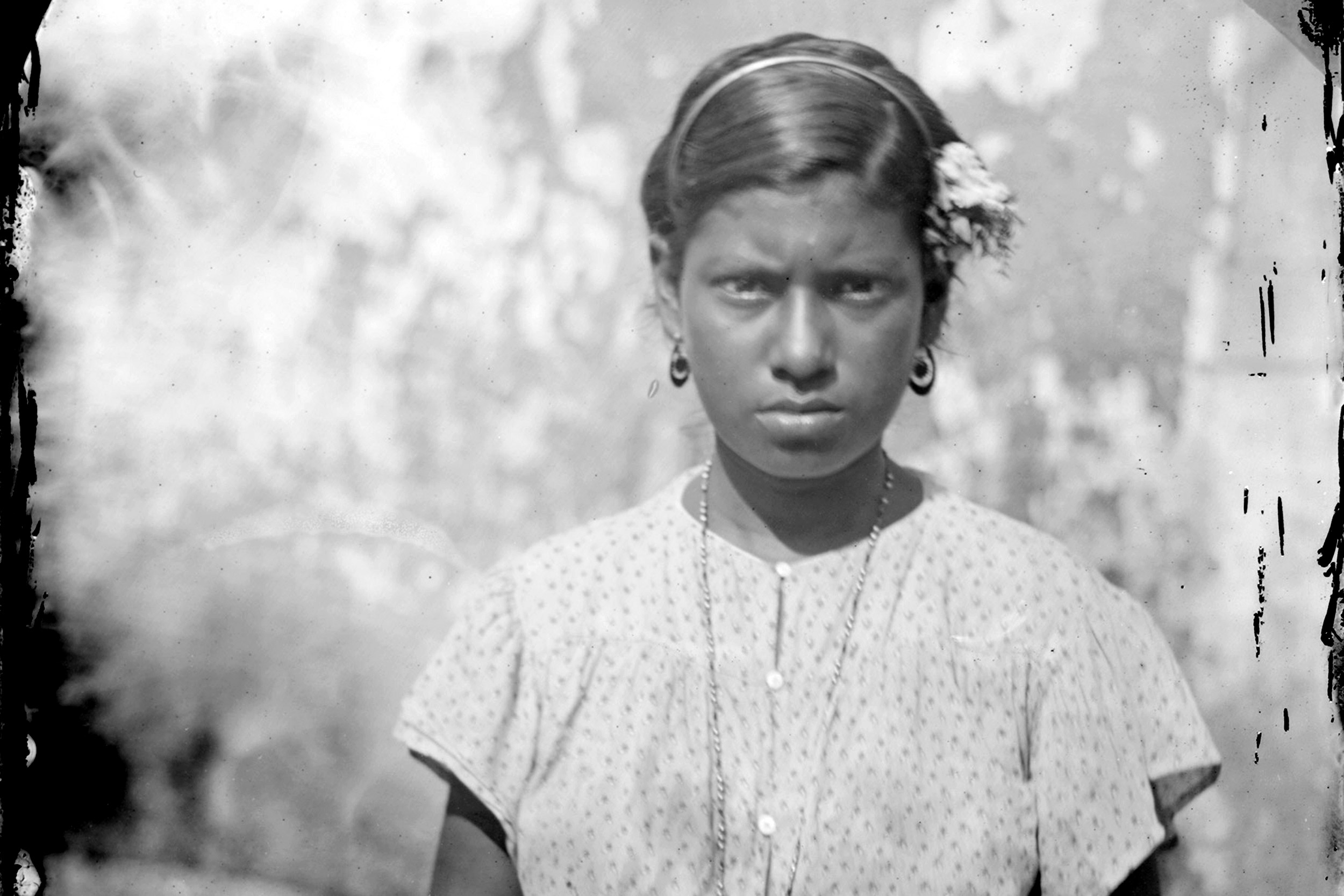 Reflecting on Louis Agassiz’s lesser-known images from Brazil — Harvard ...