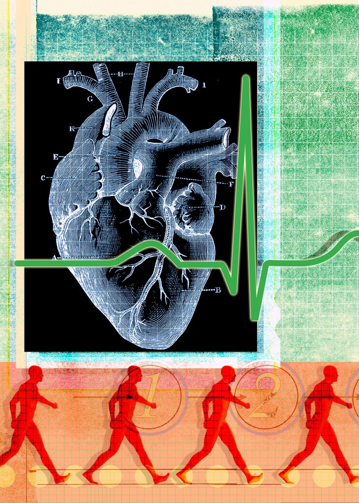 Diet, exercise, and sleep affect heart health, but why? — Harvard Gazette