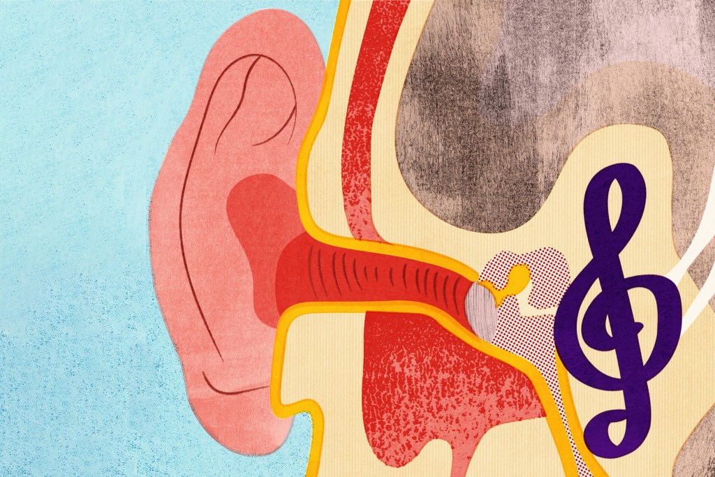 Harvard scientist on why that song is stuck in your head — Harvard Gazette