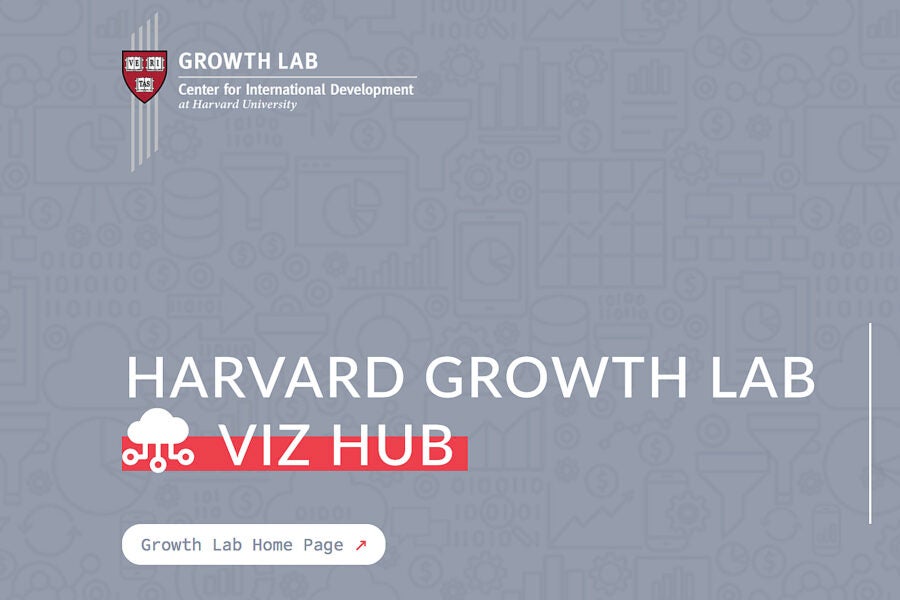 Top visual insights from the Growth Lab’s 2021 research — Harvard Gazette