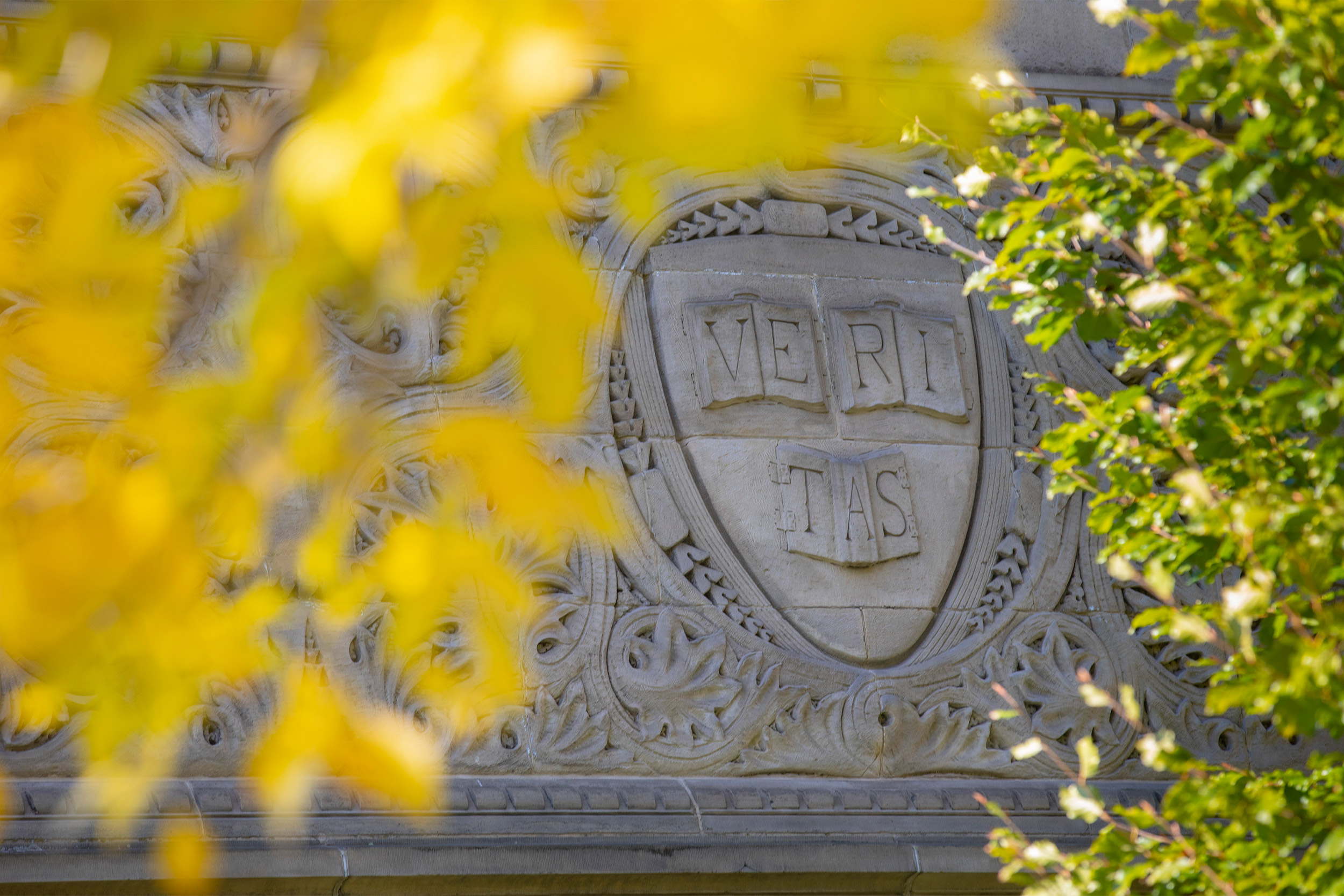 Faculty of Arts and Sciences names Walter Channing Cabot Fellows ...