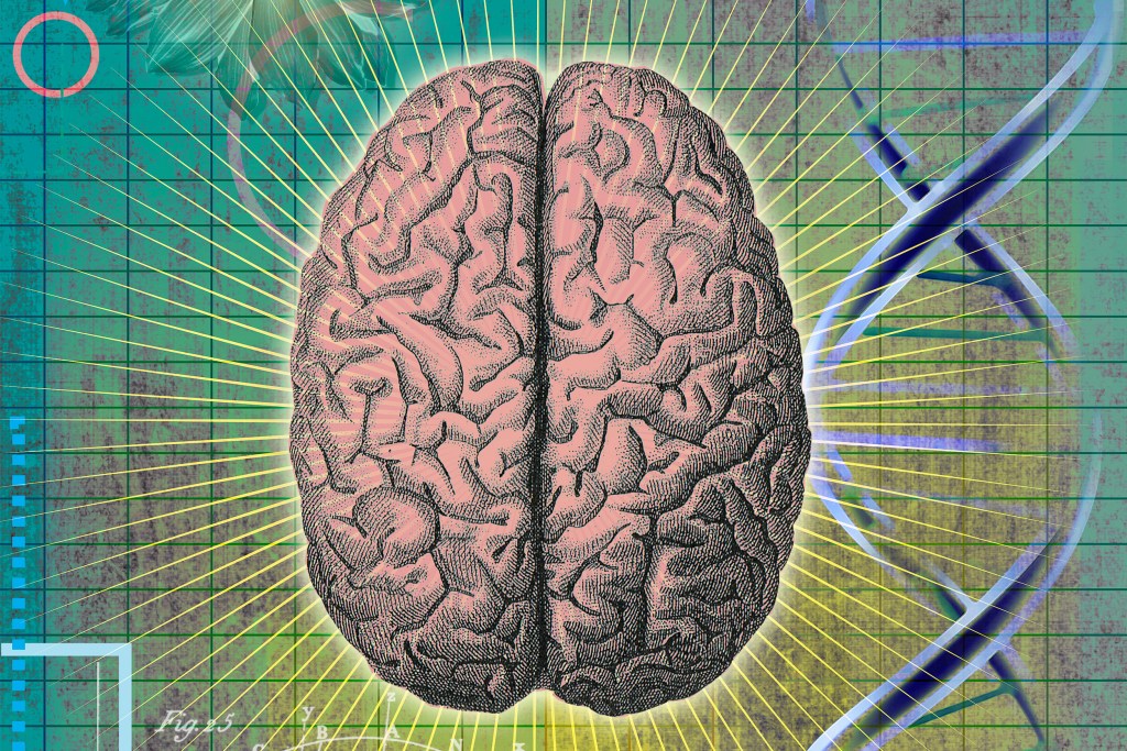 Alzheimer’s-defying brain offers clues to treatment, prevention ...