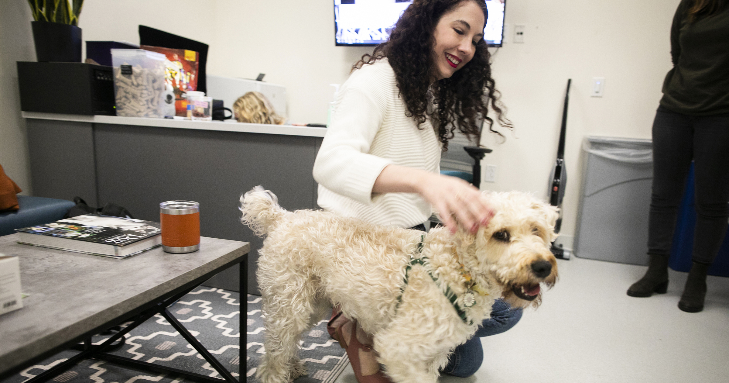 New Harvard class on dog behavior — Harvard Gazette