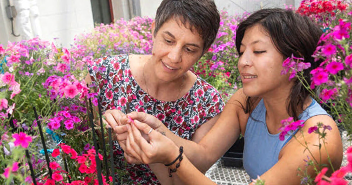 Harvard labs open their doors to let a photographer capture the essence ...