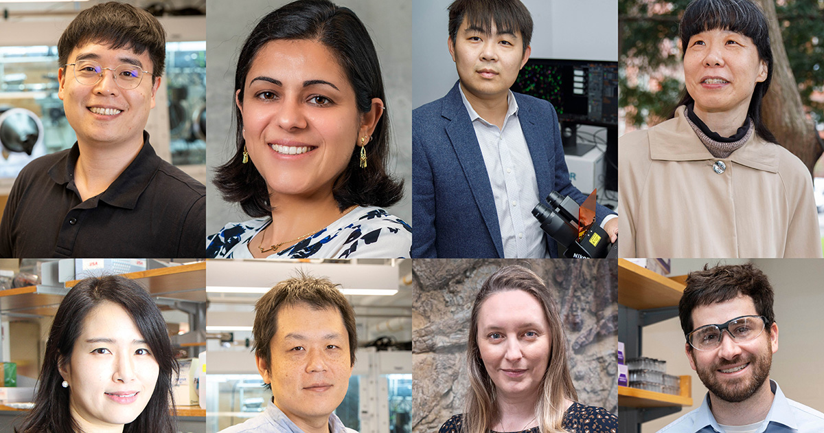 Complex questions, innovative approaches — Harvard Gazette