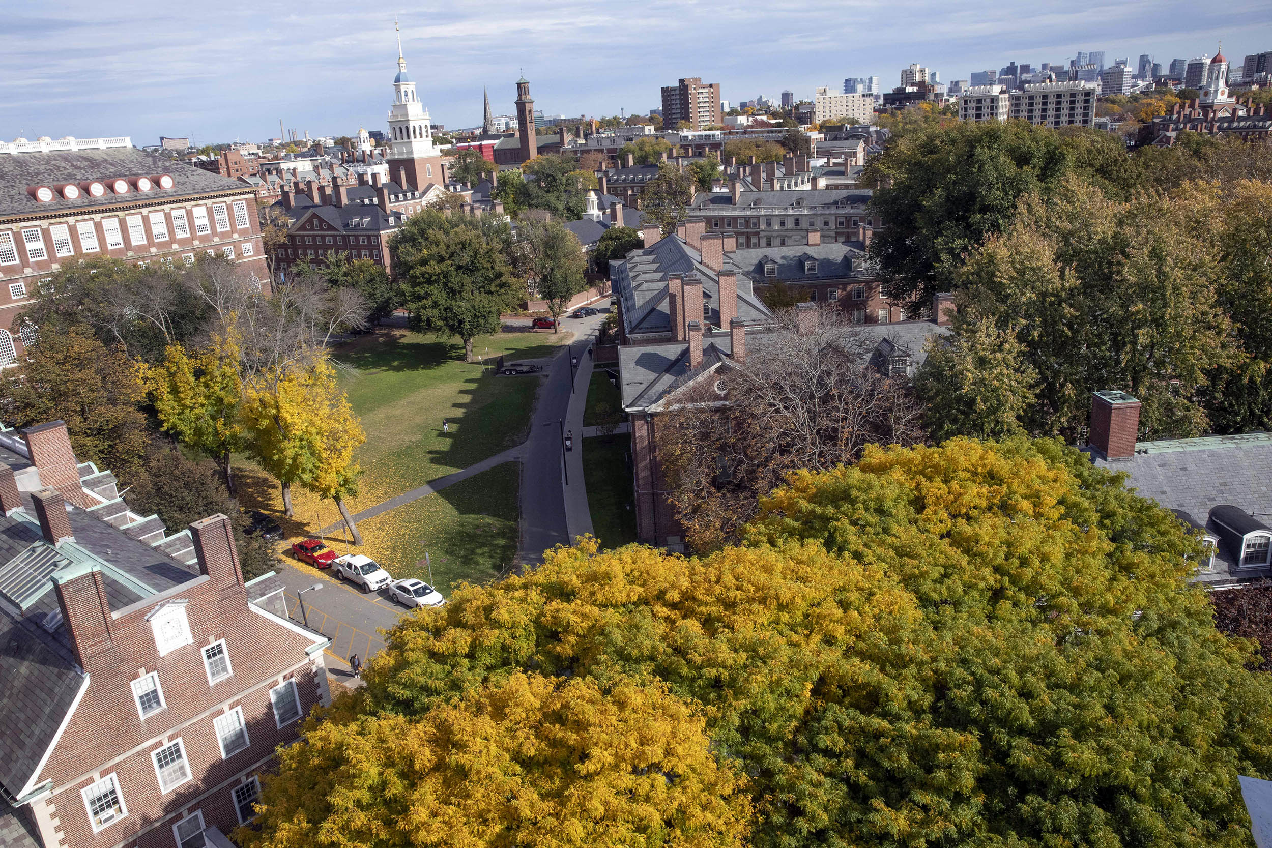 Harvard names Claudine Gay 30th president — Harvard Gazette