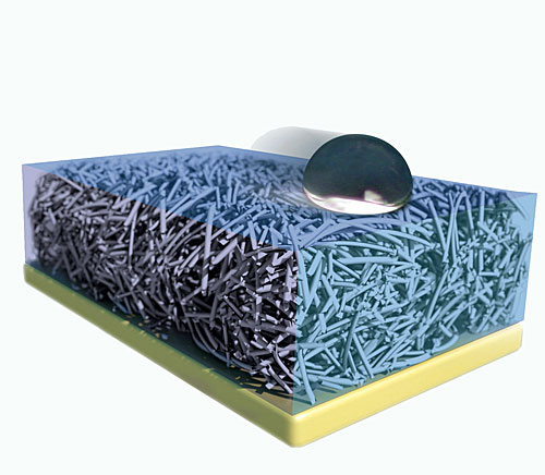 Plant offers slick strategy — Harvard Gazette