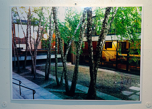 ‘The Creation of Mather’ — Harvard Gazette