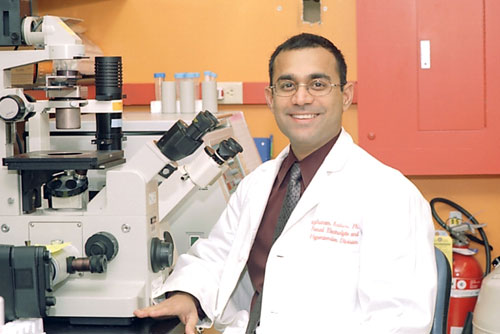 Tumor cells can prevent tumor spread — Harvard Gazette