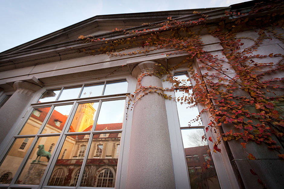 Hidden spaces: Adolphus Busch Courtyard — Harvard Gazette