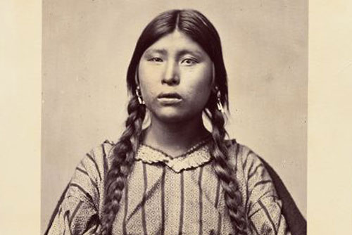 Portraits of vanished Indian life — Harvard Gazette