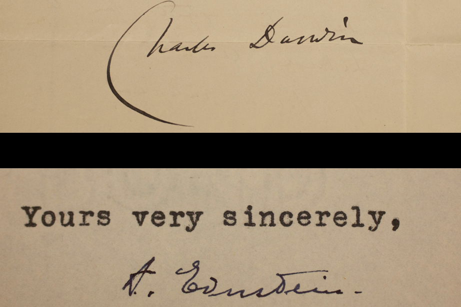 Signature signatures — Harvard Gazette