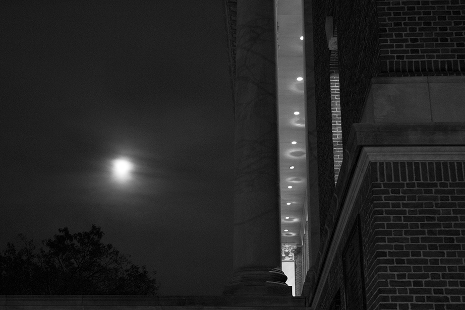 In the light of the night — Harvard Gazette