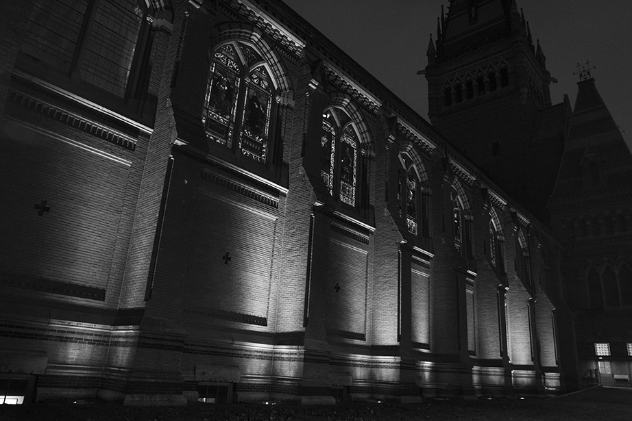 In the light of the night — Harvard Gazette