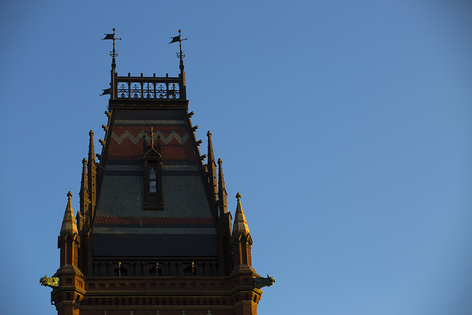 Vertical Harvard – Harvard Gazette