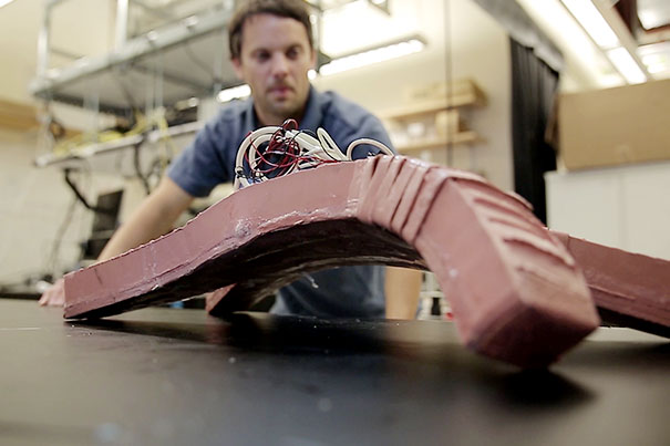 Cutting the cord on soft robots — Harvard Gazette